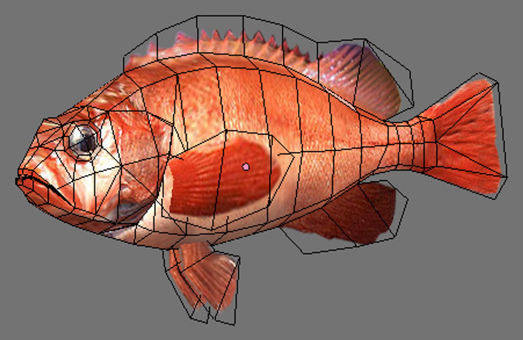 fish games 3d model