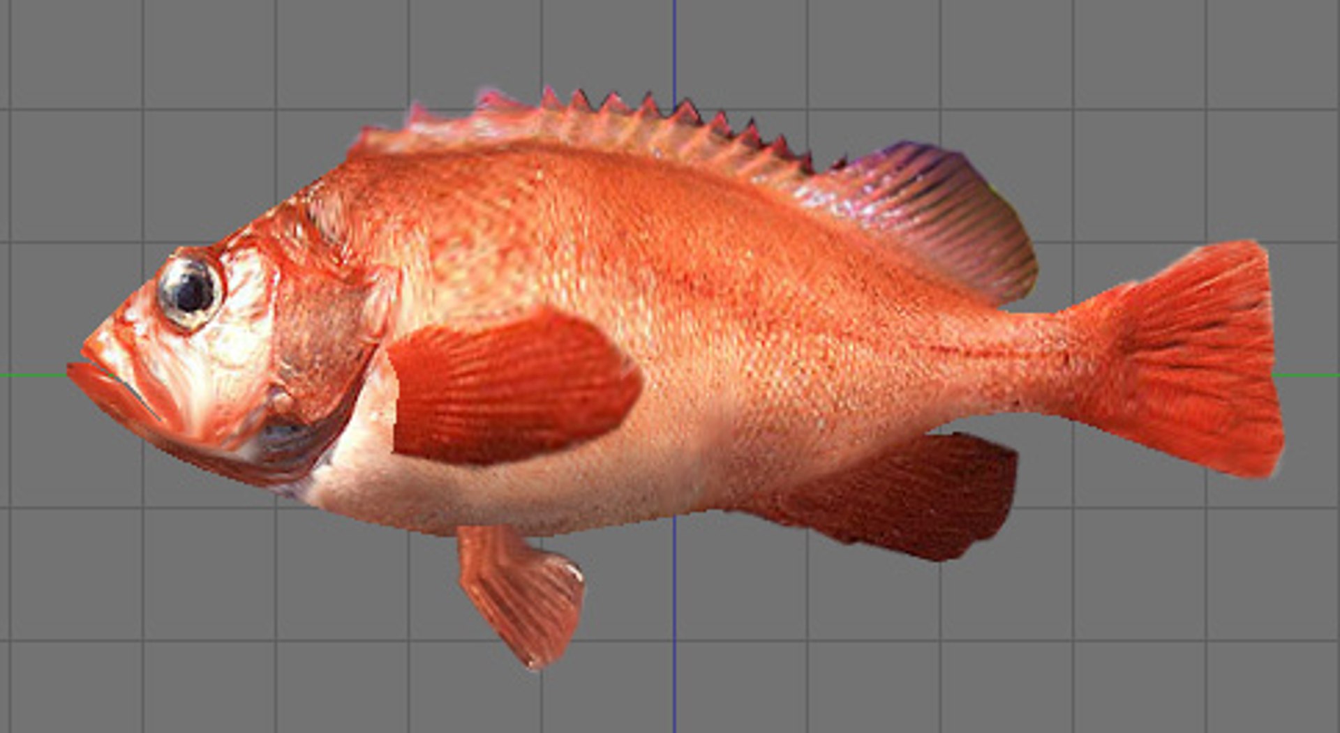 fish games 3d model