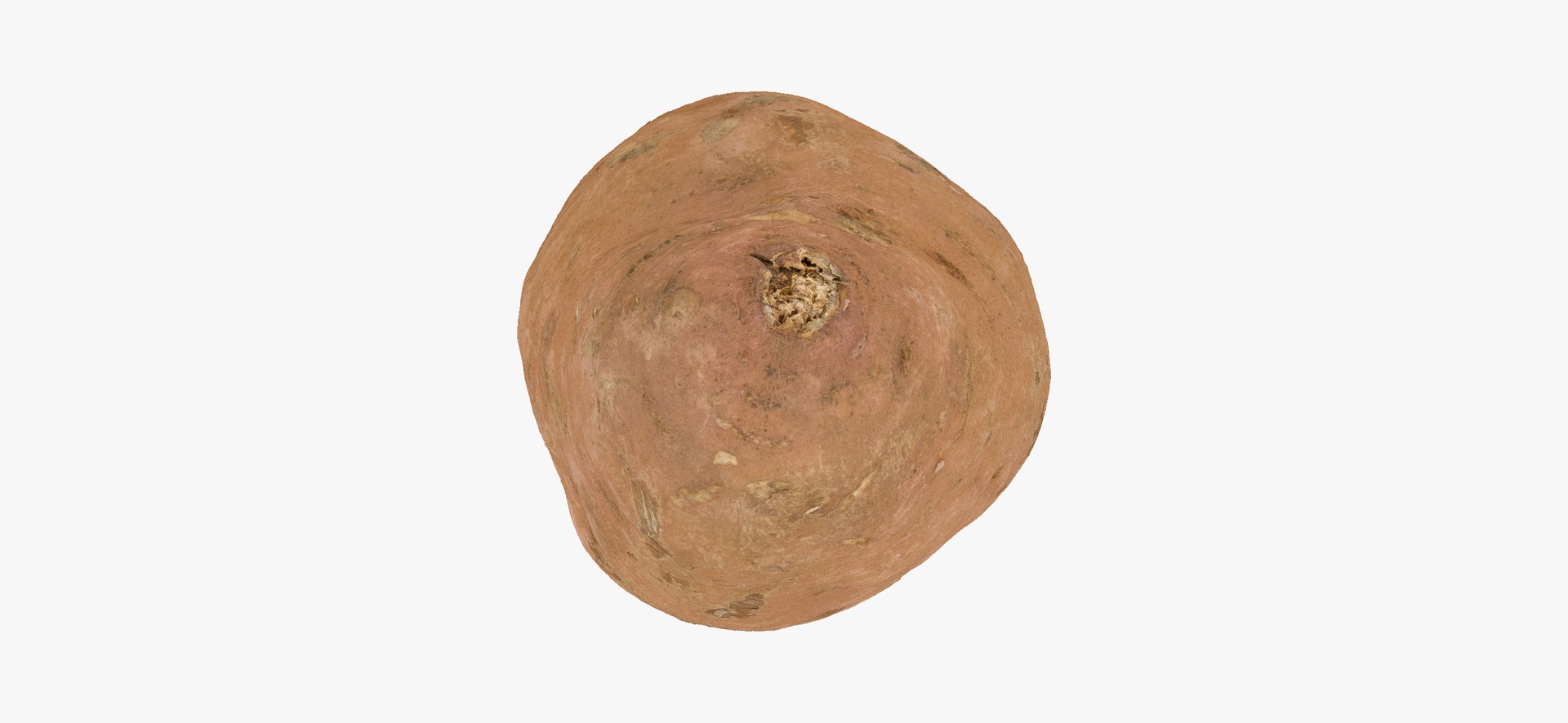 3D Model Sweet Potatoes Collection 03 - 2 Models RAW Scans - TurboSquid ...