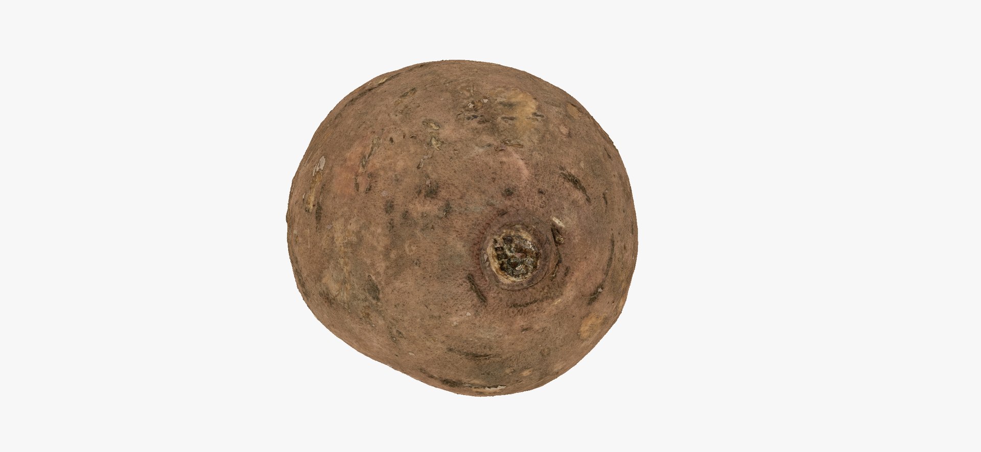 3D Model Sweet Potatoes Collection 03 - 2 Models RAW Scans - TurboSquid ...