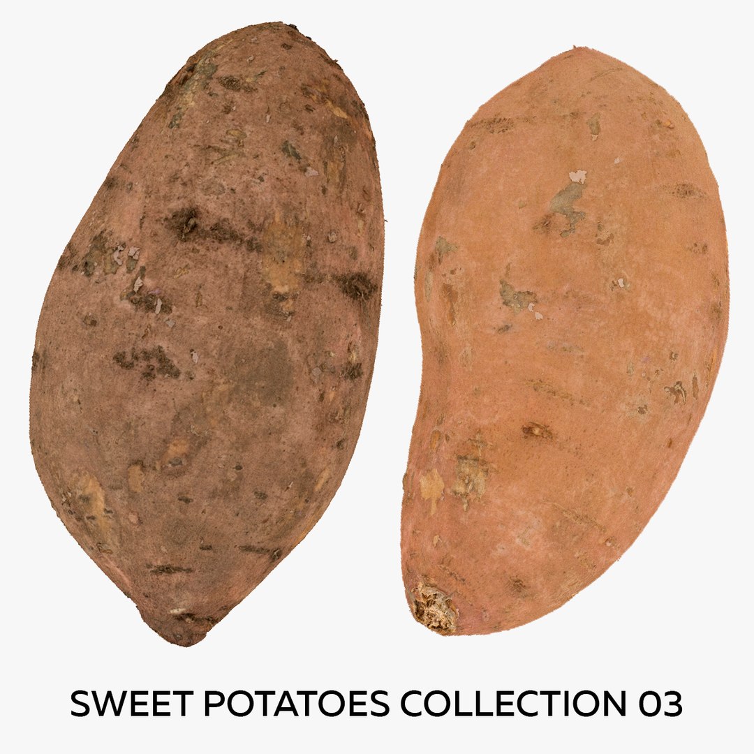 3D Model Sweet Potatoes Collection 03 - 2 Models RAW Scans - TurboSquid ...