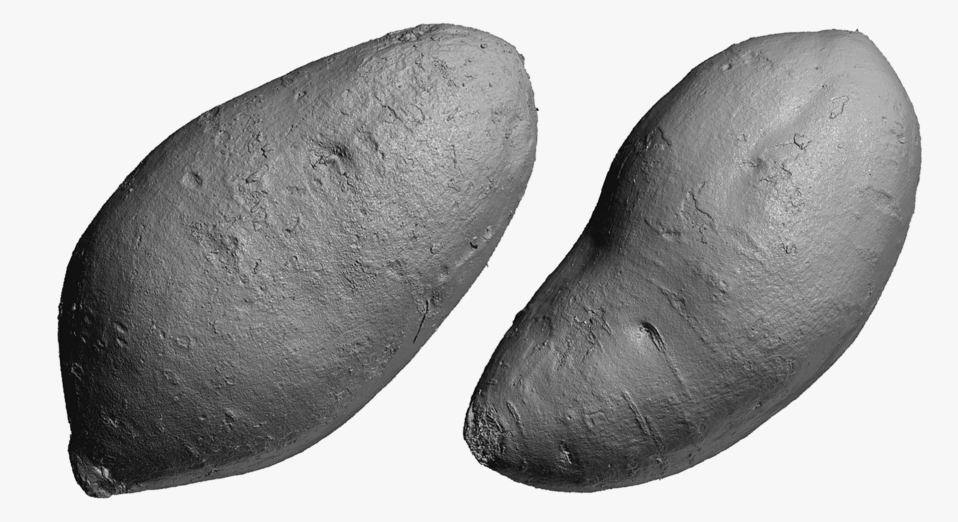 3D Model Sweet Potatoes Collection 03 - 2 Models RAW Scans - TurboSquid ...