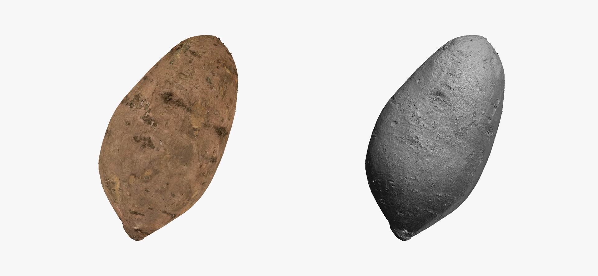 3D Model Sweet Potatoes Collection 03 - 2 Models RAW Scans - TurboSquid ...