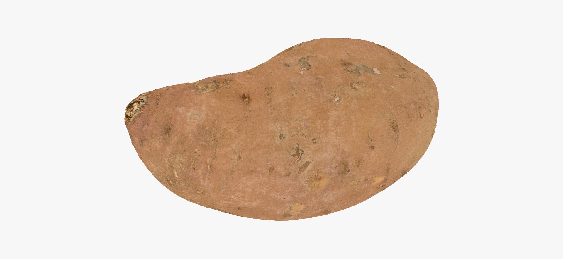 3D Model Sweet Potatoes Collection 03 - 2 Models RAW Scans - TurboSquid ...