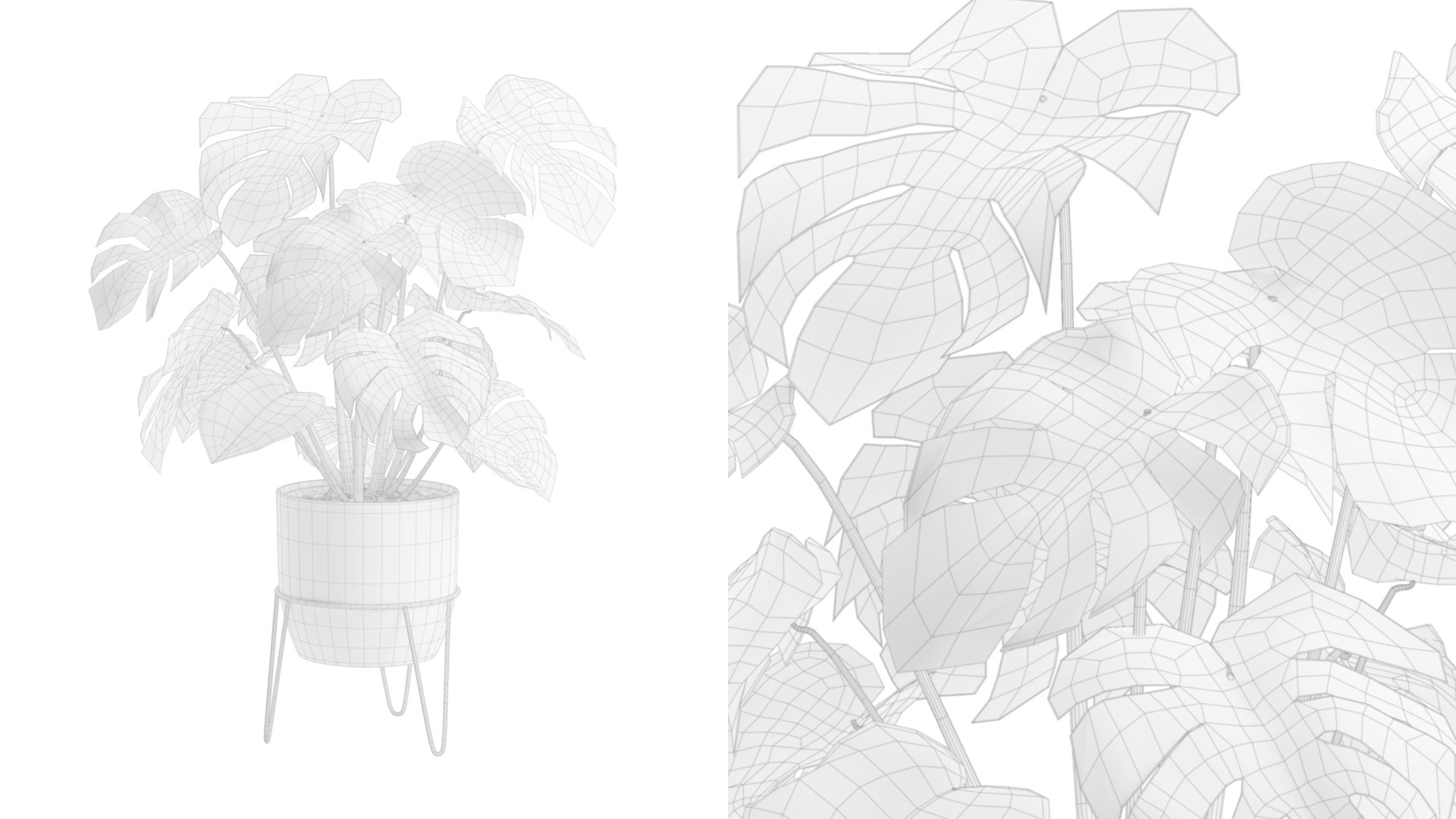 Monstera Deliciosa Pot Stand 3D - TurboSquid 2172583