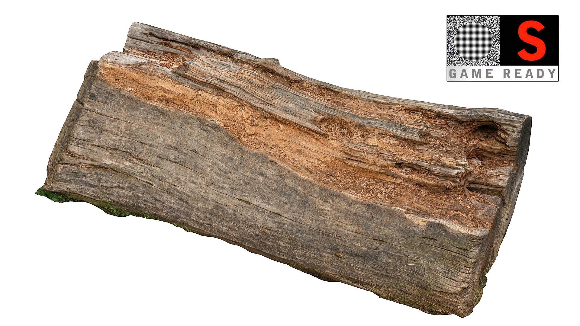 3d Model Bough Scanned Ready