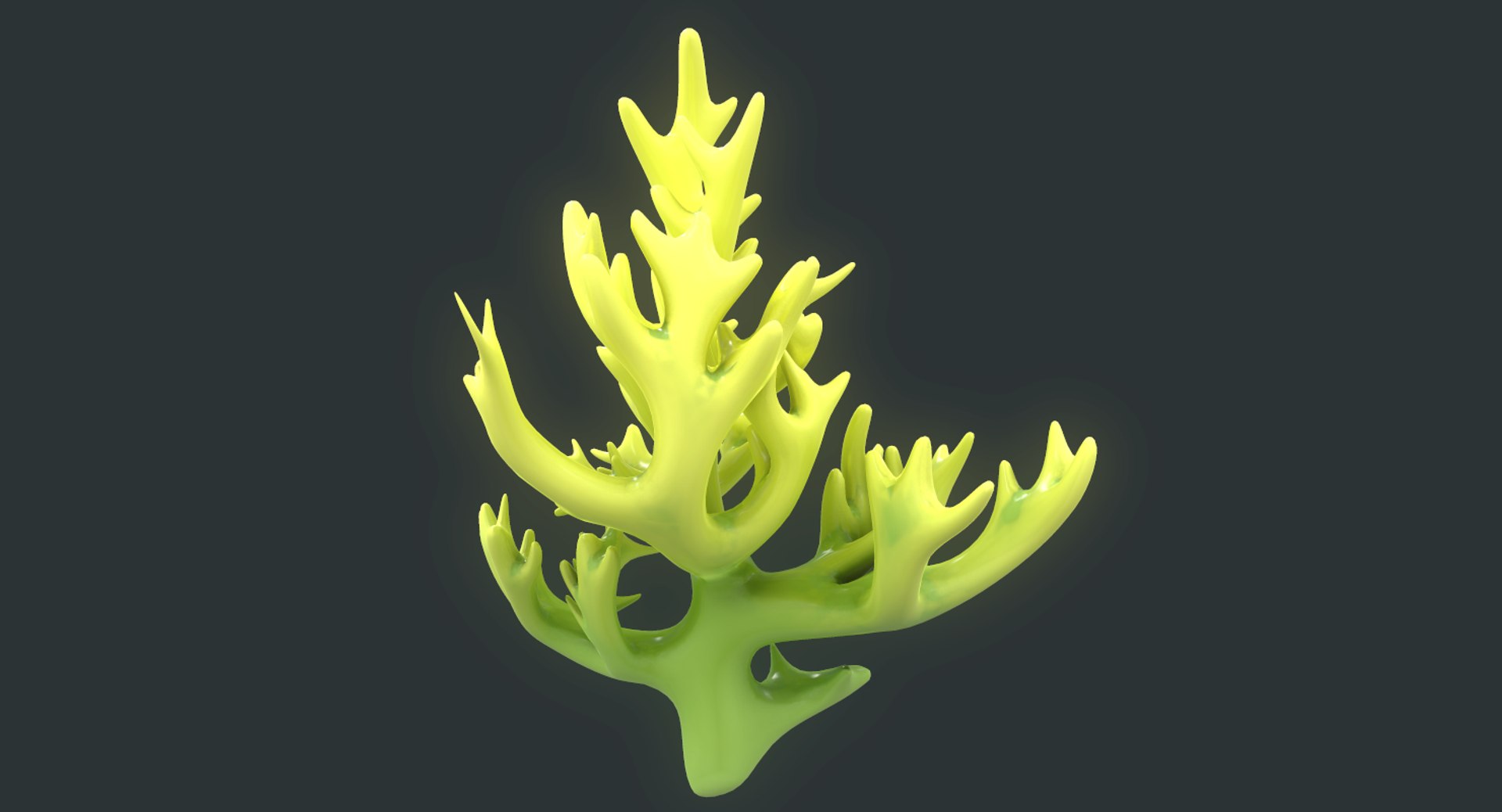 3D Modeled Coral - TurboSquid 1425229