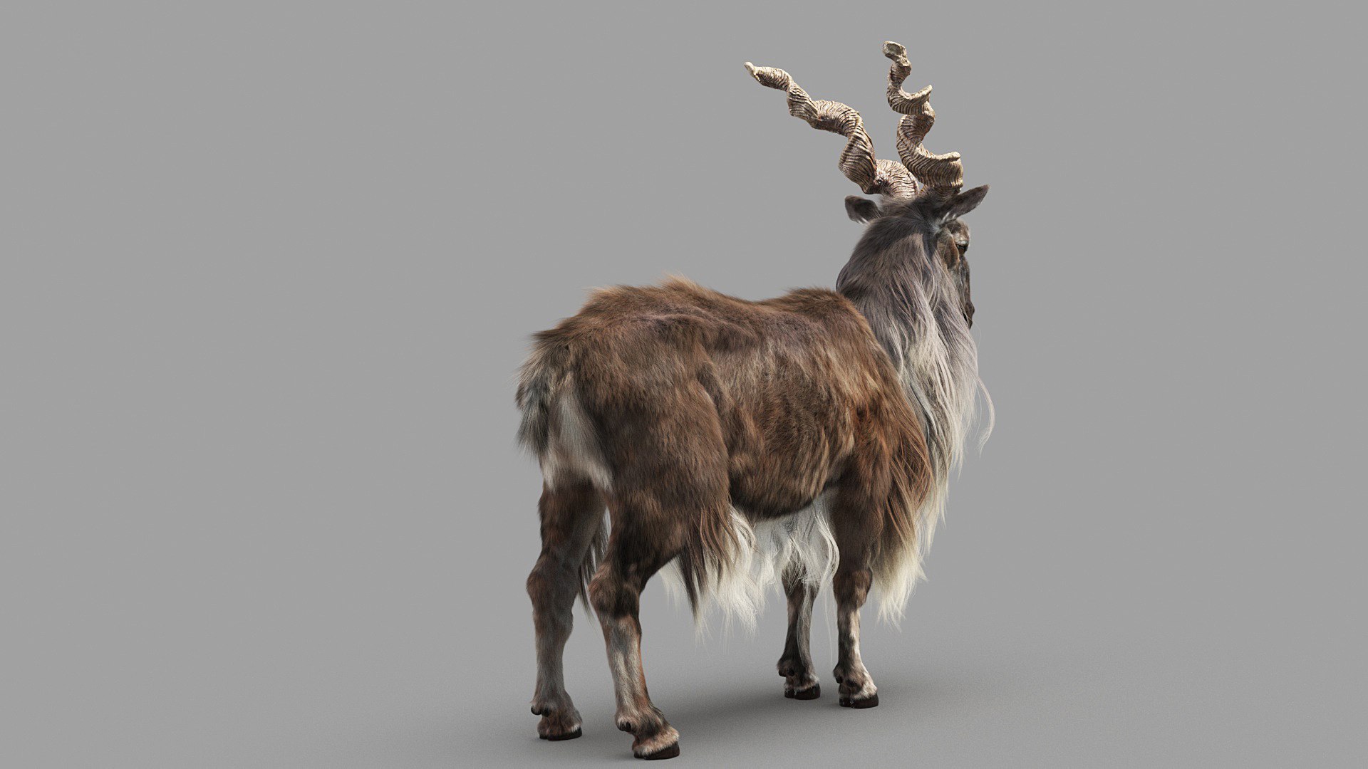 Markhor Capra 3D Model - TurboSquid 1666369