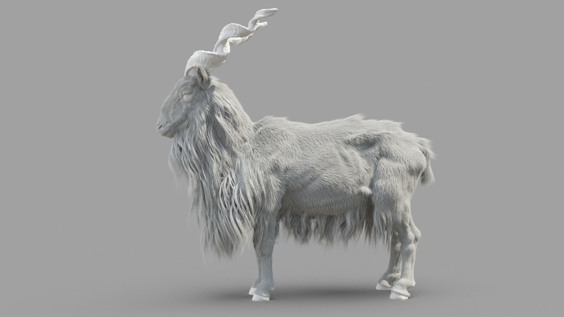 Markhor Capra 3D Model - TurboSquid 1666369