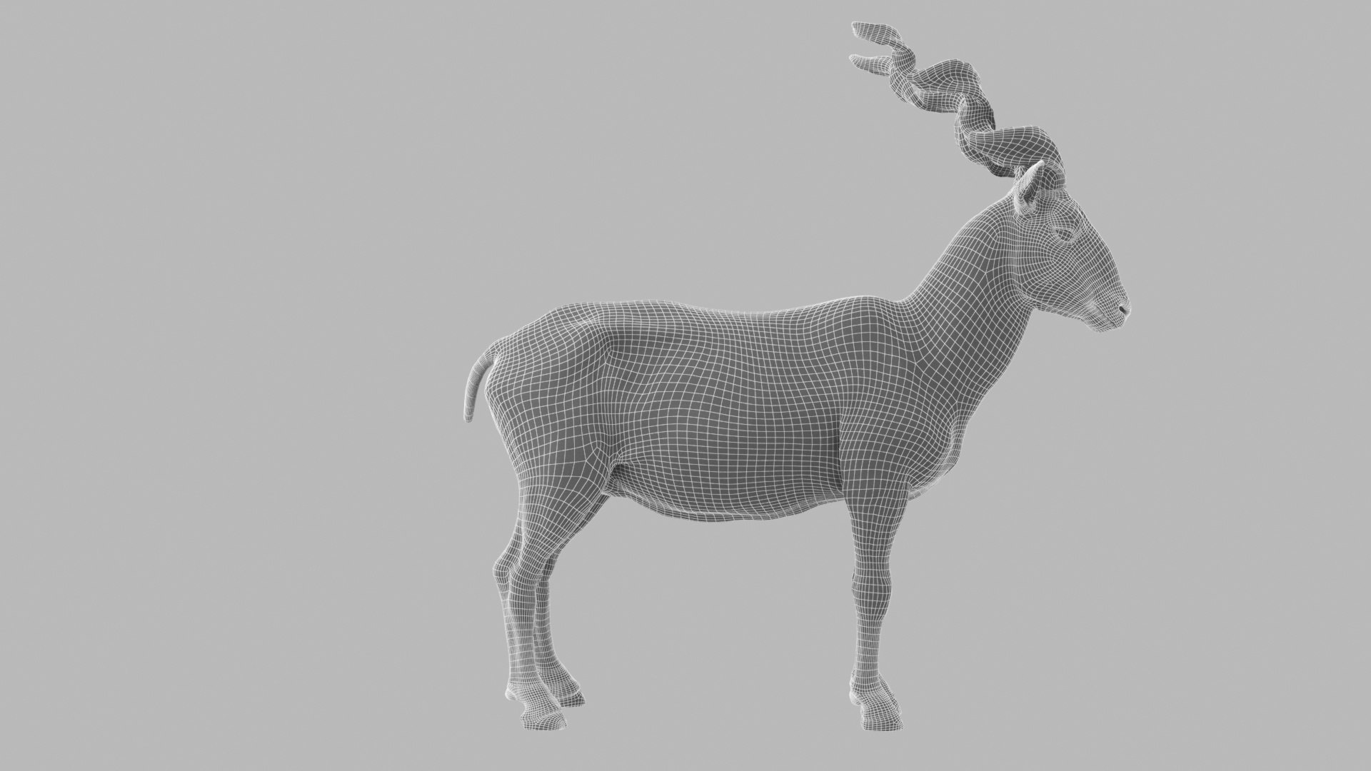 Markhor Capra 3D Model - TurboSquid 1666369
