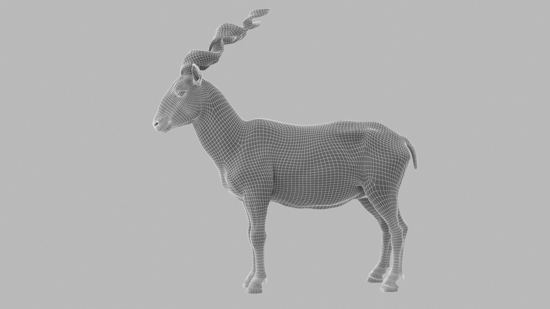 Markhor Capra 3D Model - TurboSquid 1666369