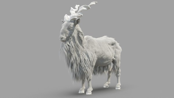 Markhor capra 3D model - TurboSquid 1666369