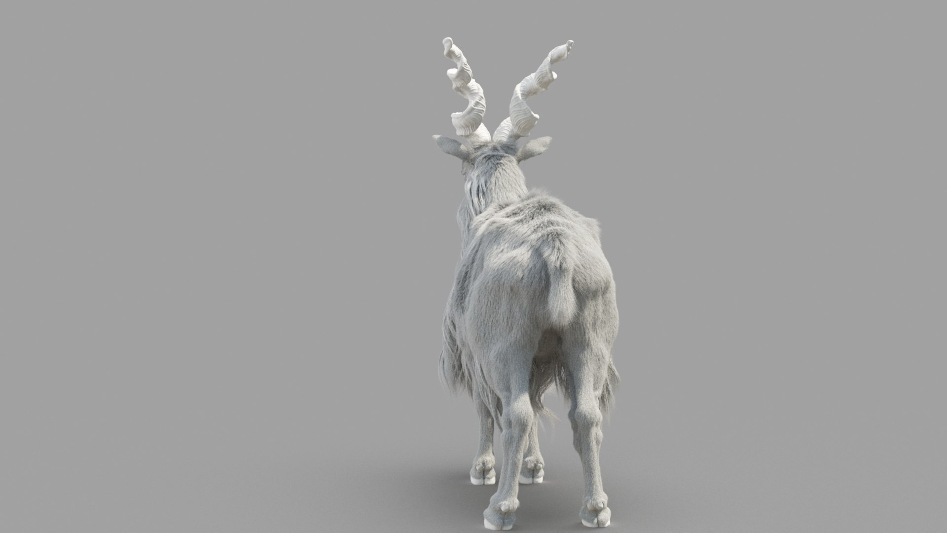 Markhor Capra 3D Model - TurboSquid 1666369