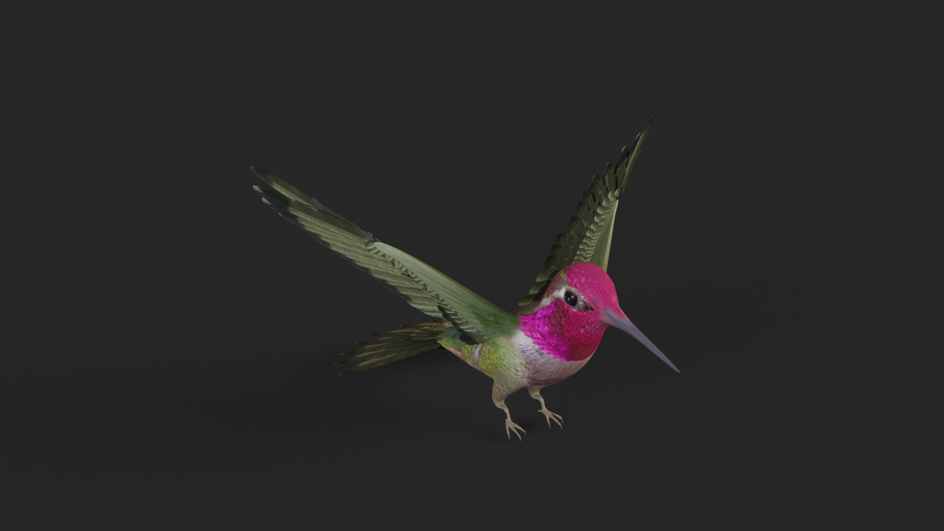 3D Realistic Hummingbird - TurboSquid 1704901