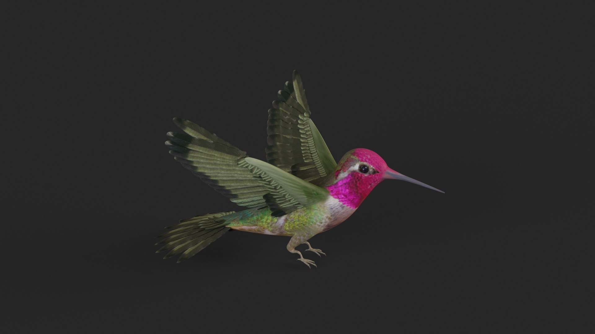 3D realistic hummingbird - TurboSquid 1704901