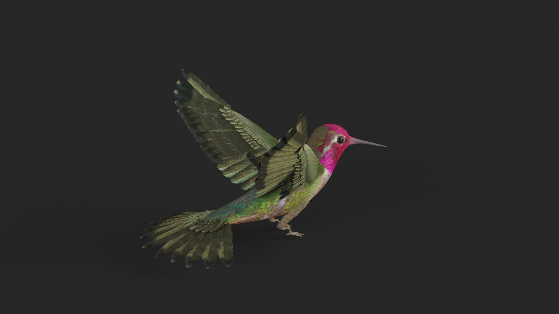 3D Realistic Hummingbird - TurboSquid 1704901