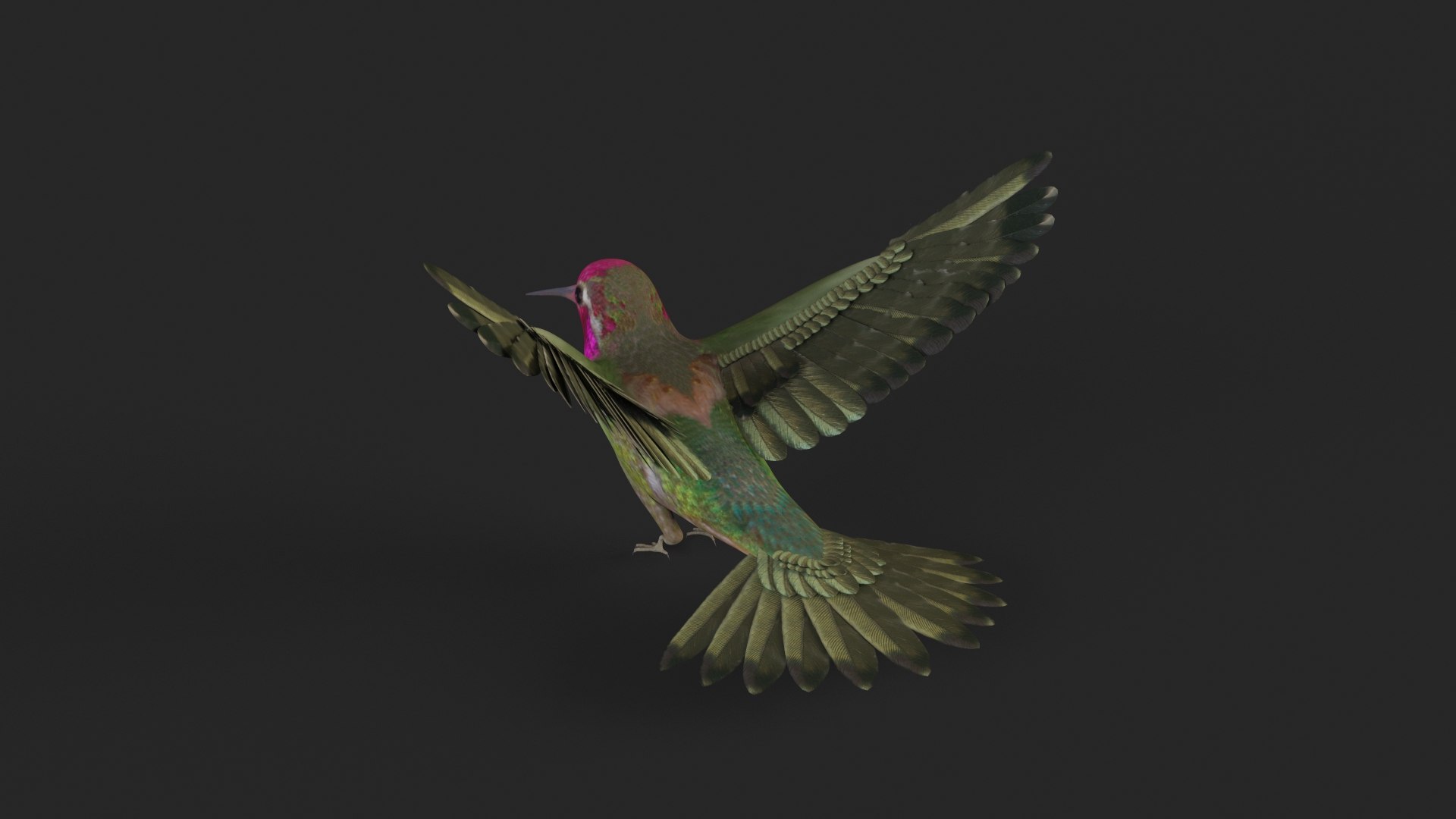 3D Realistic Hummingbird - TurboSquid 1704901