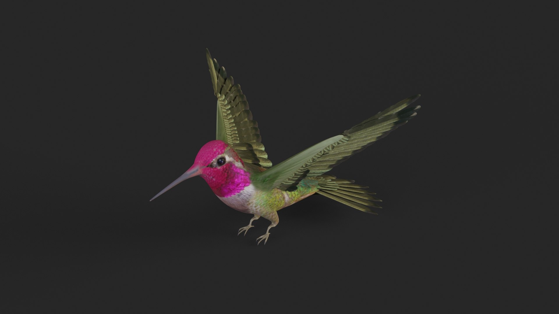 3D Realistic Hummingbird - TurboSquid 1704901