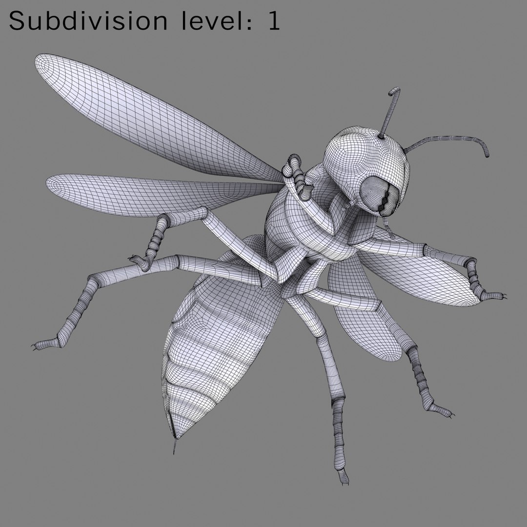 Wasp 3D Model - TurboSquid 1189560
