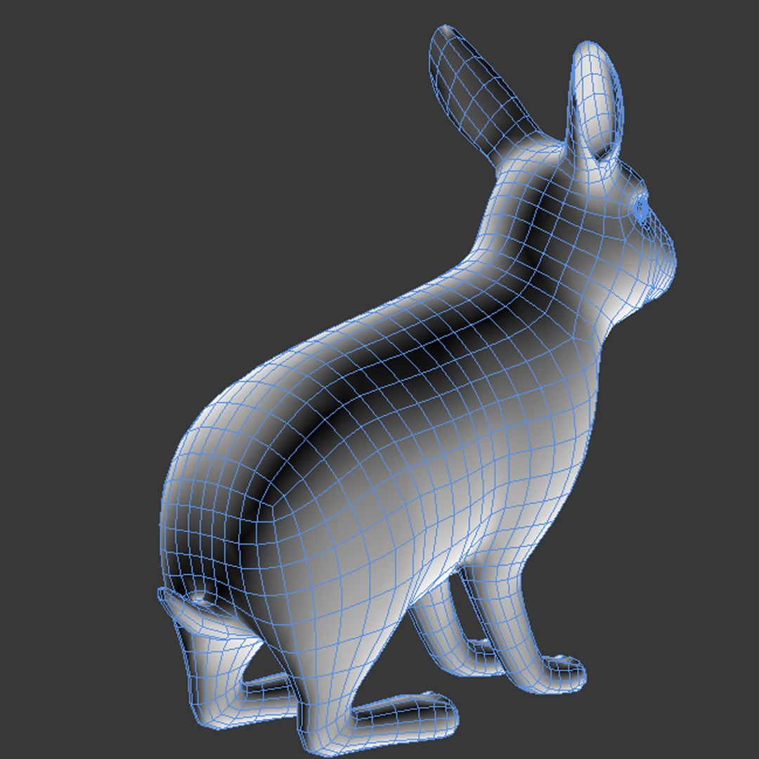 3d model grey rabbit