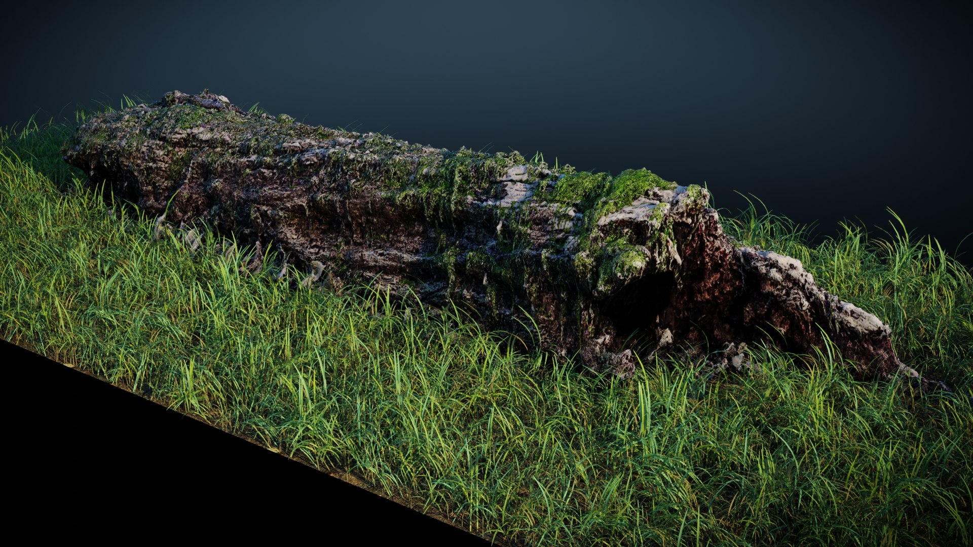Mossy Log Model - TurboSquid 1963632