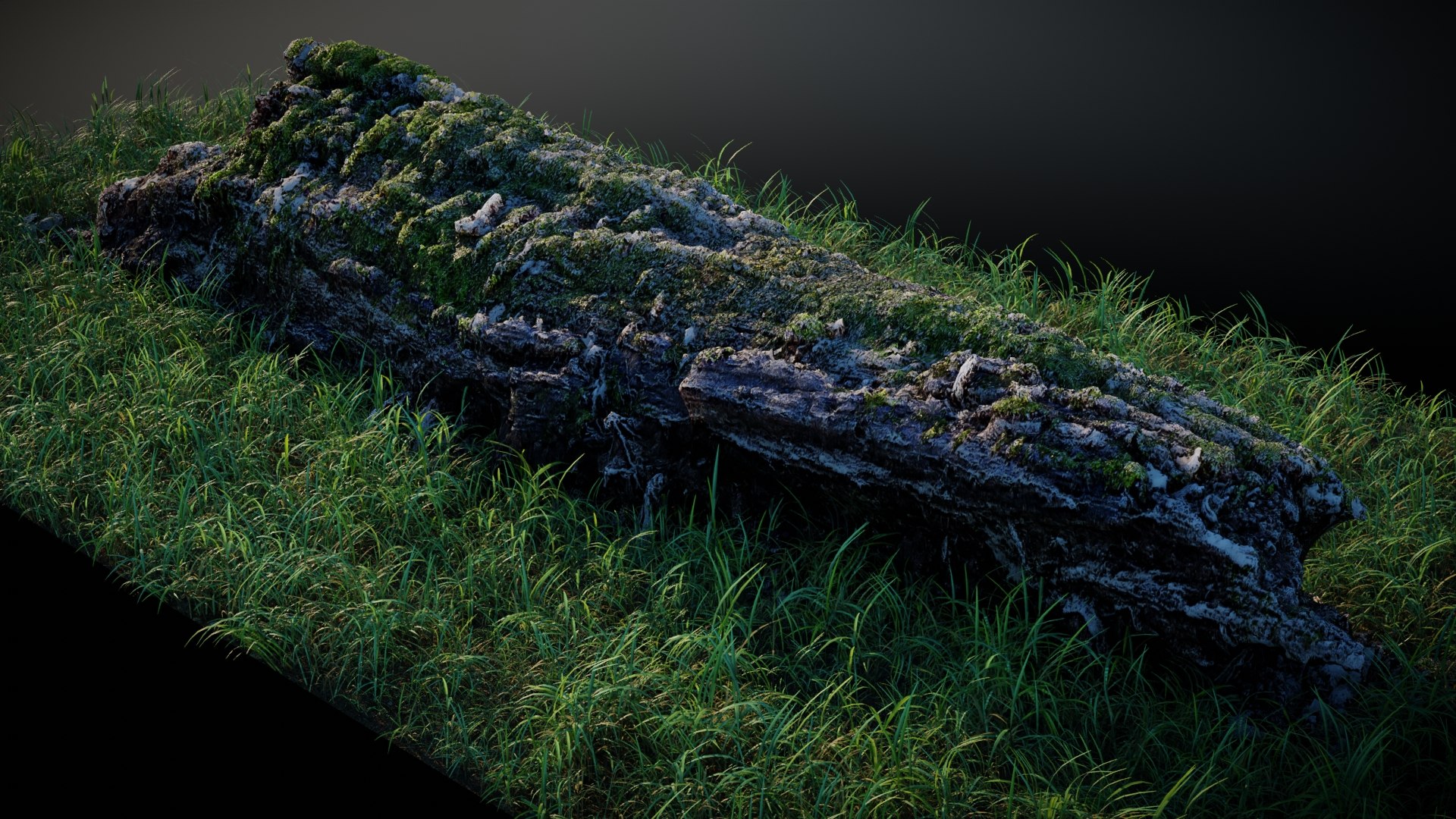 Mossy Log Model - TurboSquid 1963632