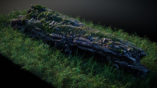 Mossy Log model - TurboSquid 1963632