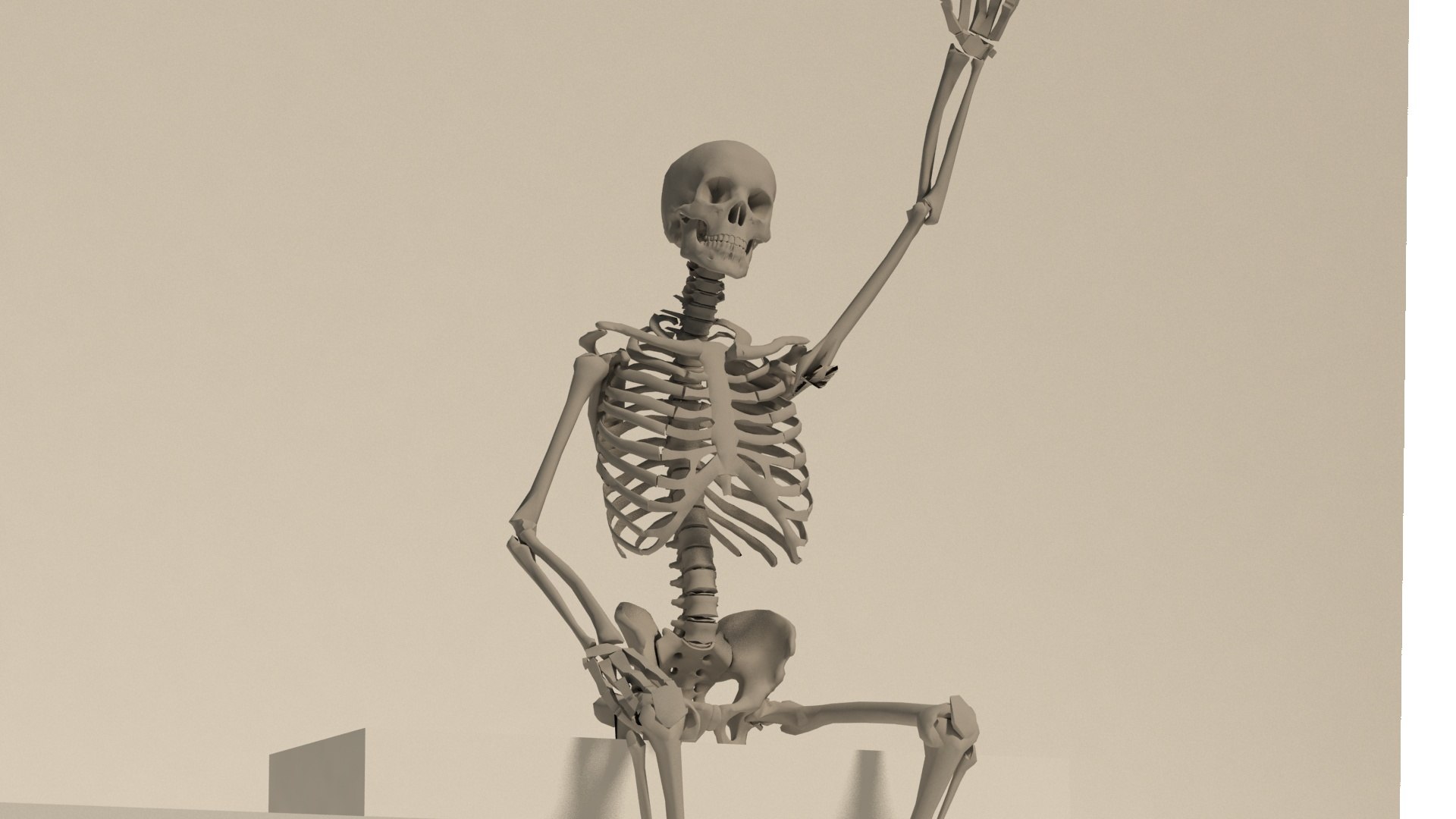 Skeleton Rigged 3D Model - TurboSquid 1174389