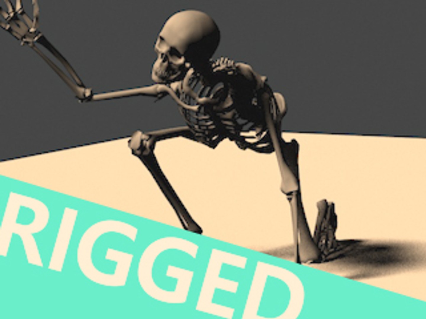 Skeleton Rigged 3D Model - TurboSquid 1174389