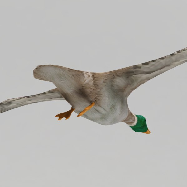 rigged flying duck 3d 3ds