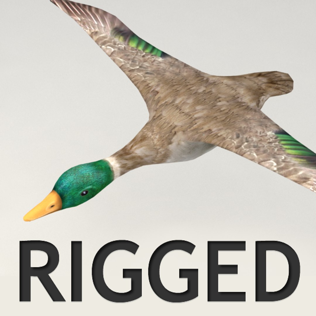 Rigged Flying Duck 3d 3ds