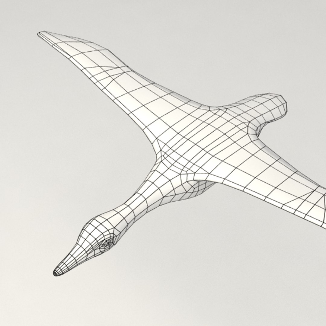 Rigged Flying Duck 3d 3ds