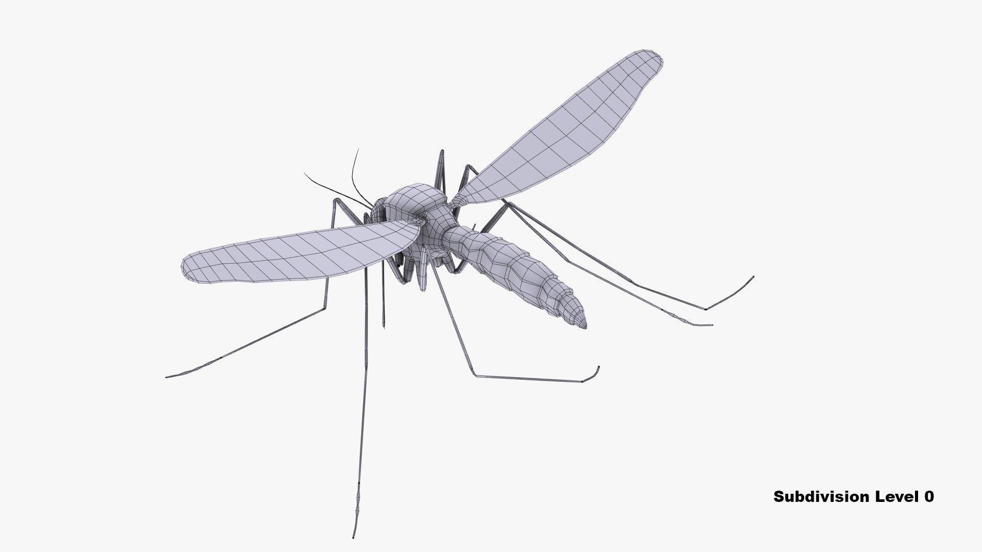 Mosquito 3d Model