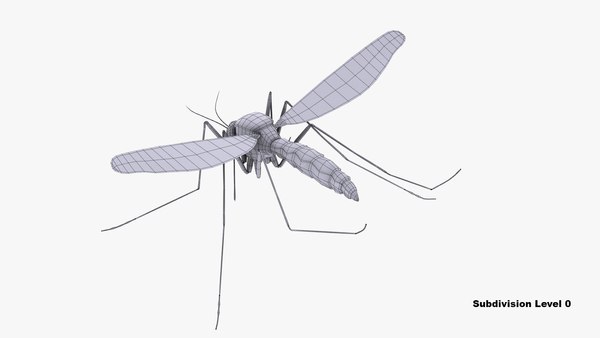 mosquito 3d model