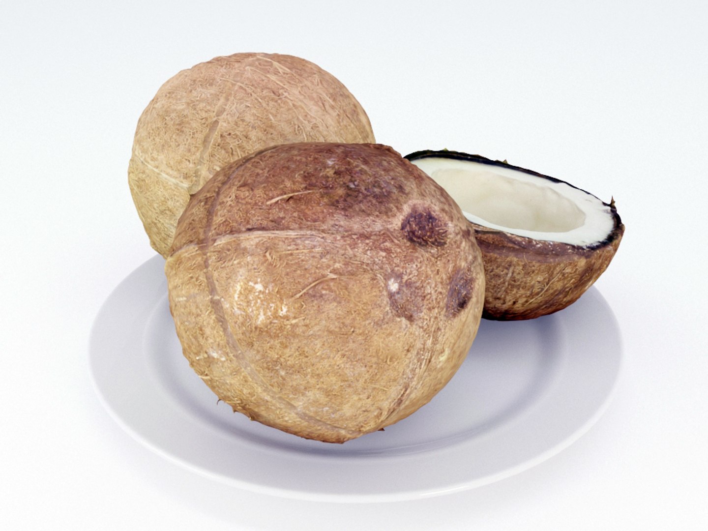 Max Coconuts