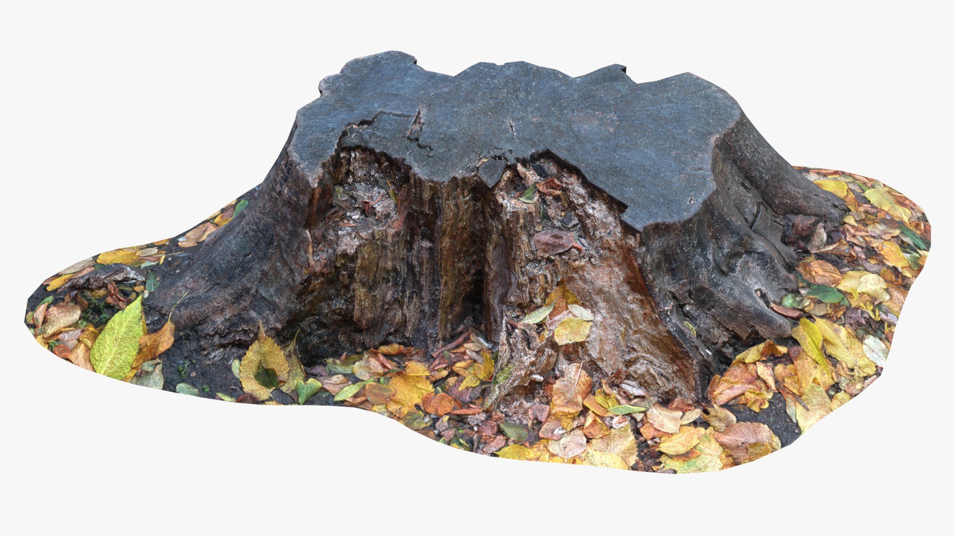Rotten Tree Stump - Game Asset 3D Model - TurboSquid 1821357