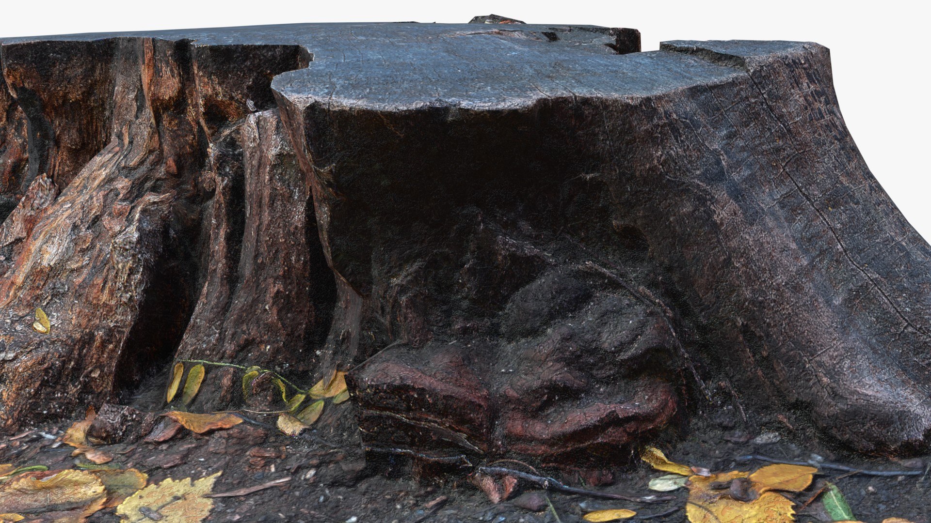 Rotten Tree Stump - Game Asset 3D Model - TurboSquid 1821357