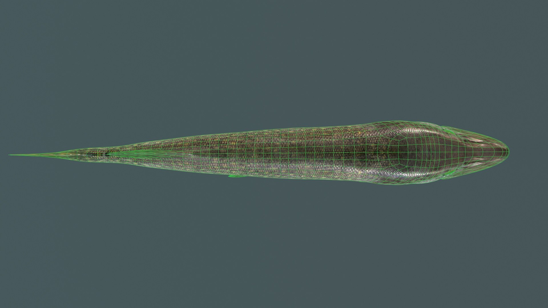 Pike Fish Low-poly 3D Model 3D - TurboSquid 1981881