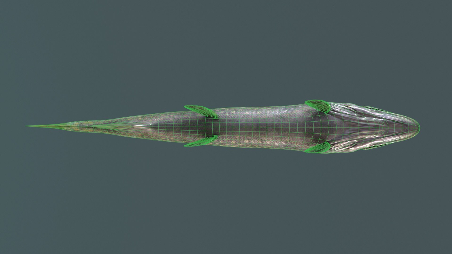 Pike Fish Low-poly 3D Model 3D - TurboSquid 1981881