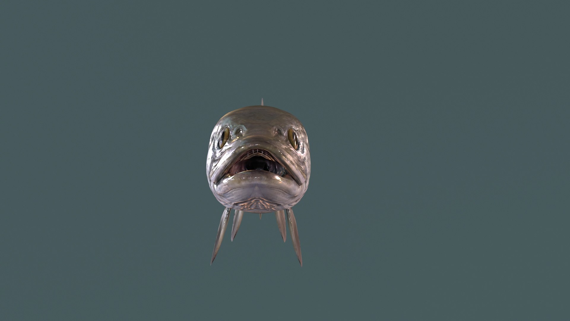 Pike Fish Low-poly 3D Model 3D - TurboSquid 1981881