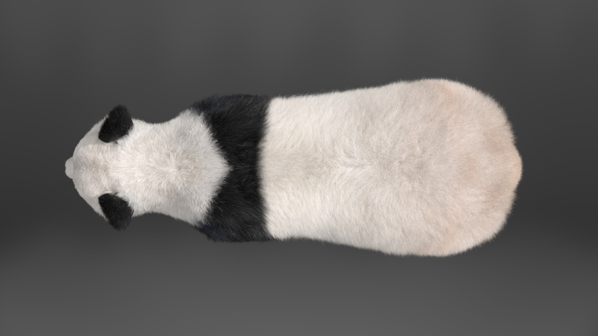 3D model Panda Animation Vfx Grace - TurboSquid 2152911
