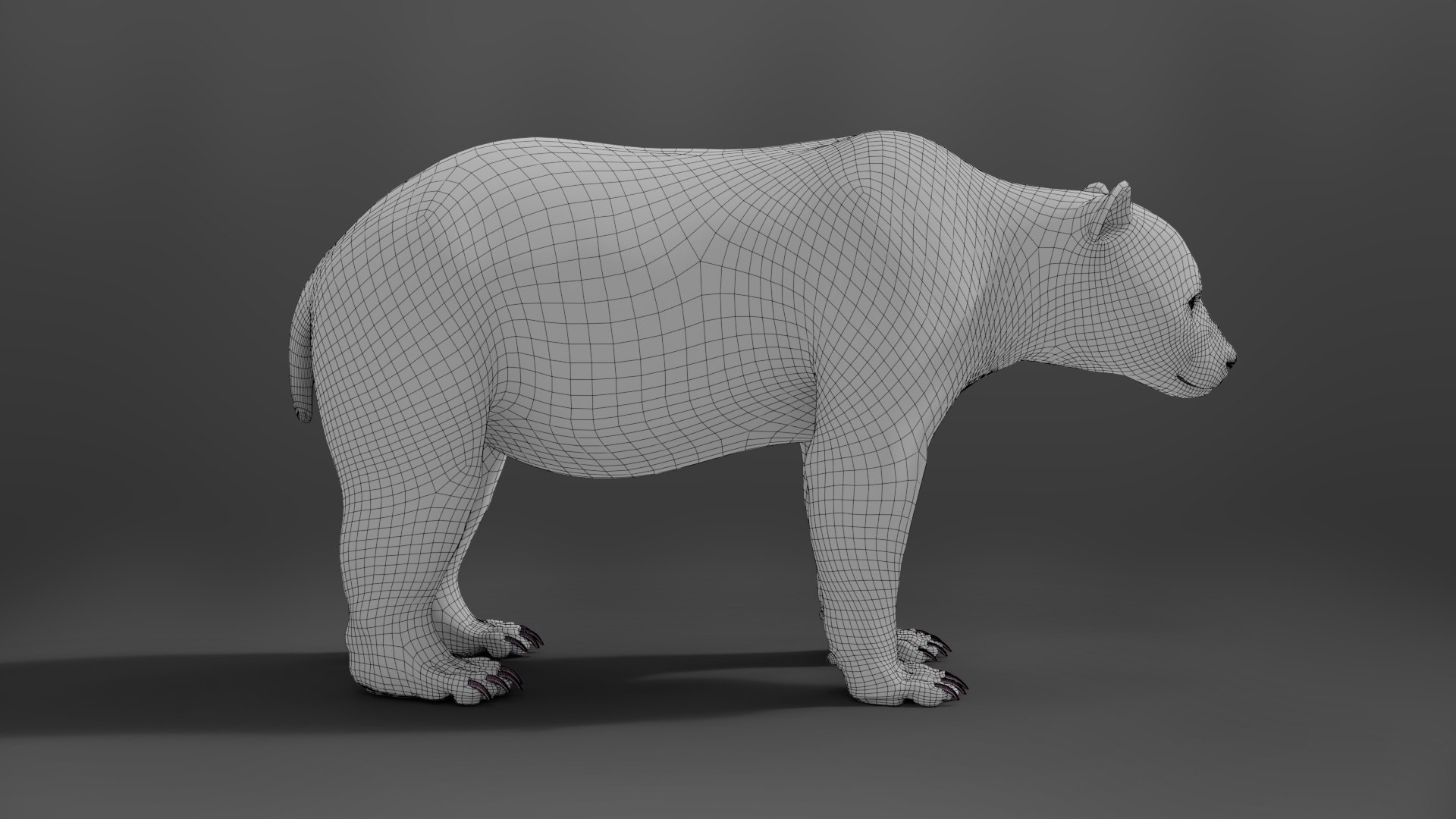 3D model Panda Animation Vfx Grace - TurboSquid 2152911