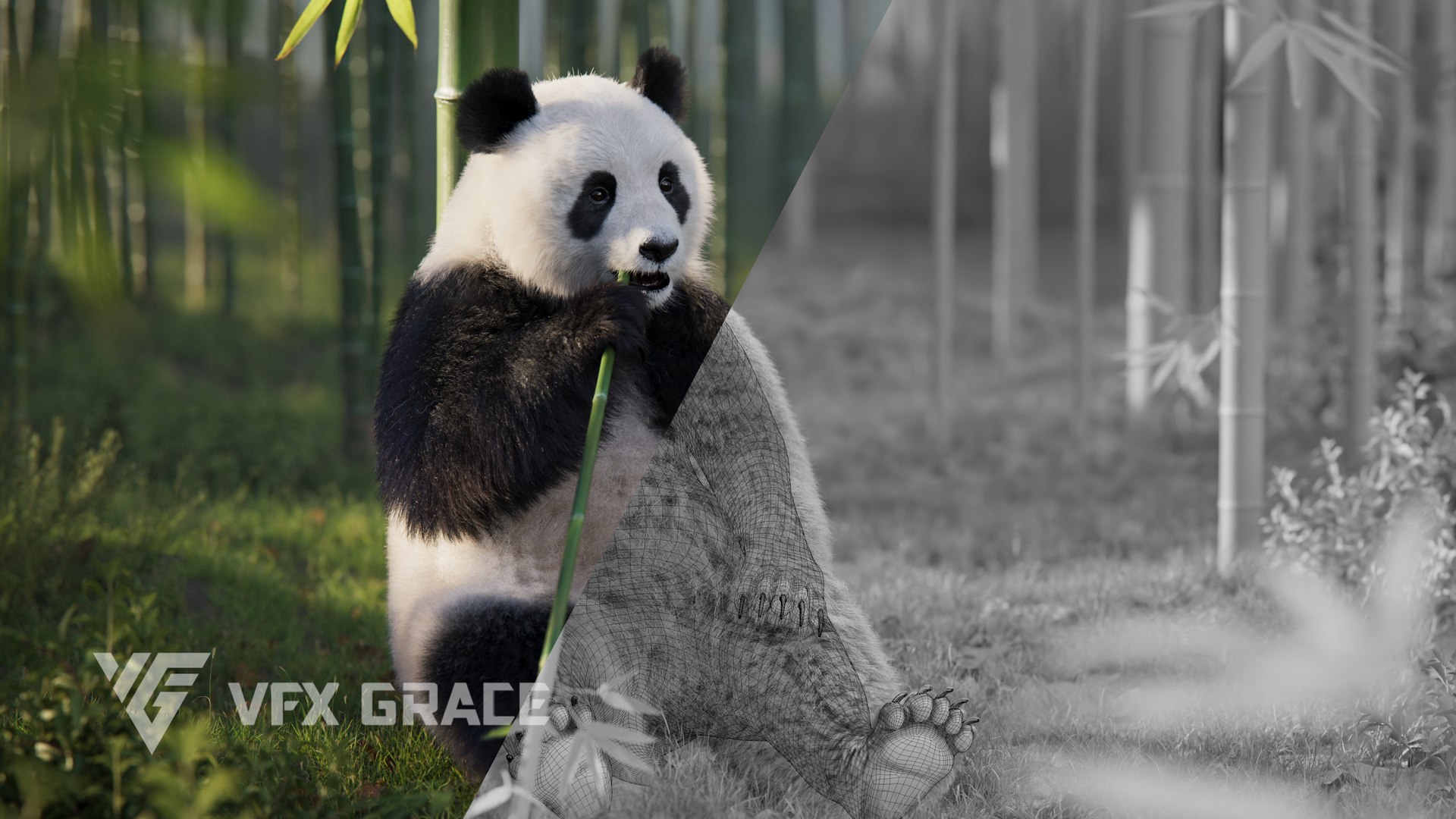 3D Model Panda Animation Vfx Grace - TurboSquid 2152911