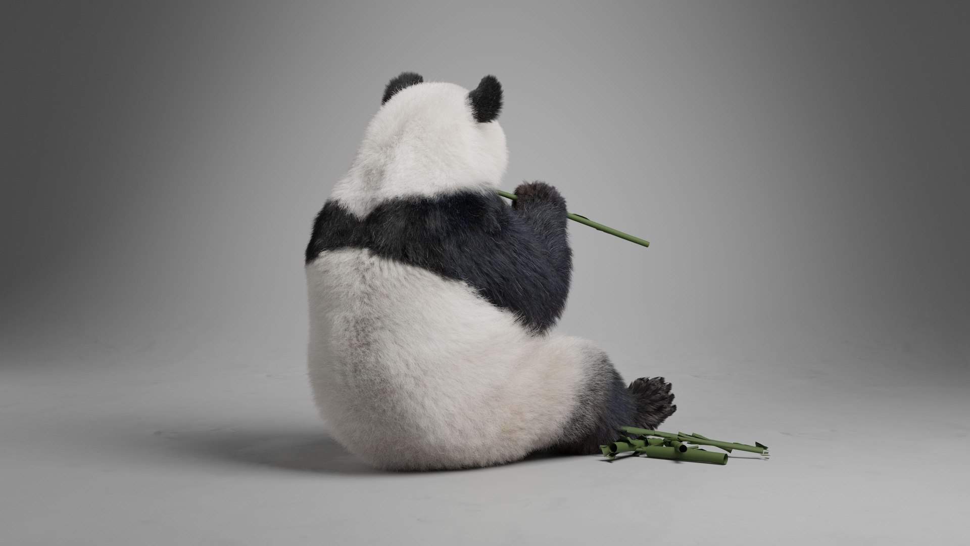 3D Model Panda Animation Vfx Grace - TurboSquid 2152911