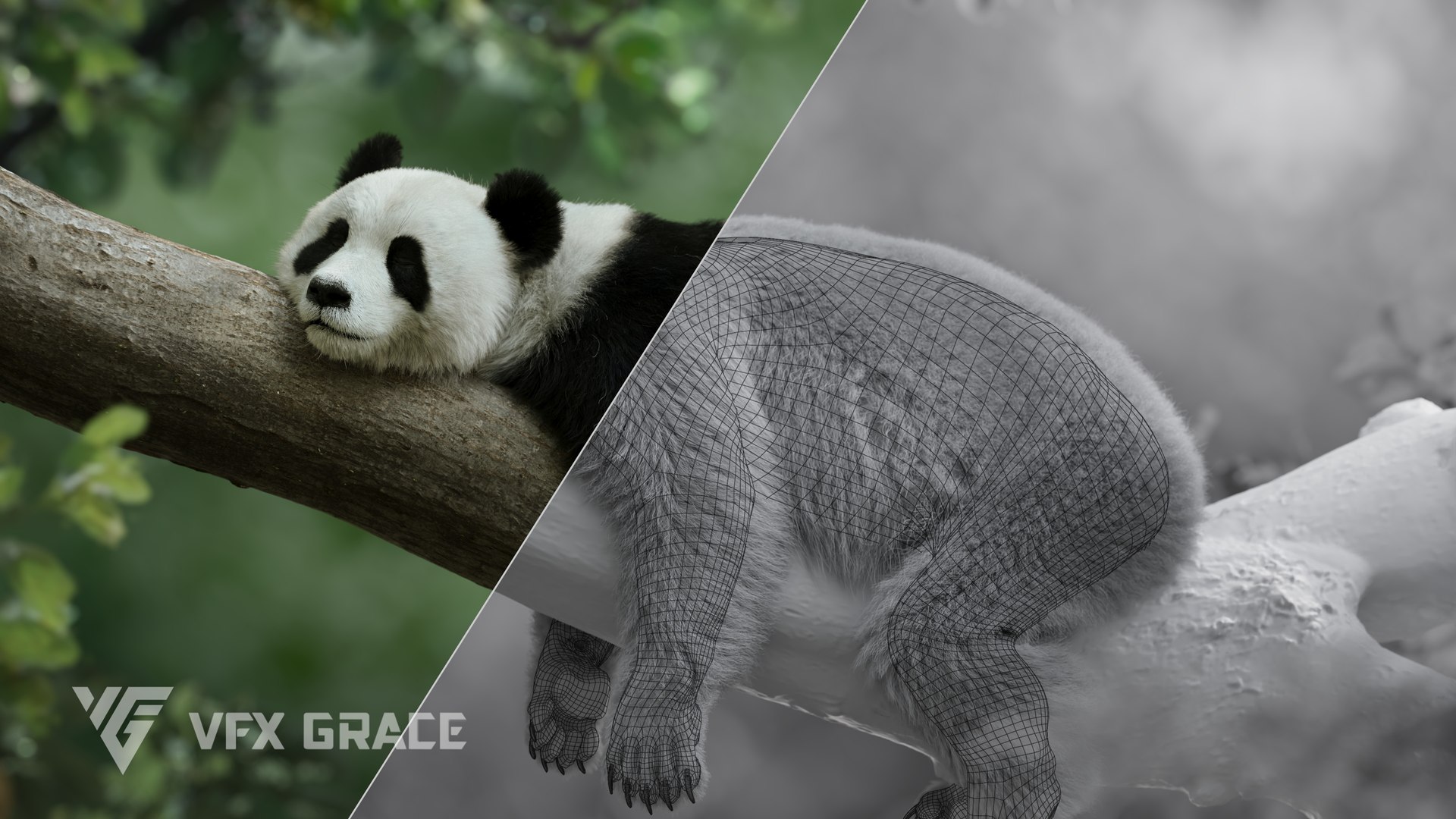 3D model Panda Animation Vfx Grace - TurboSquid 2152911