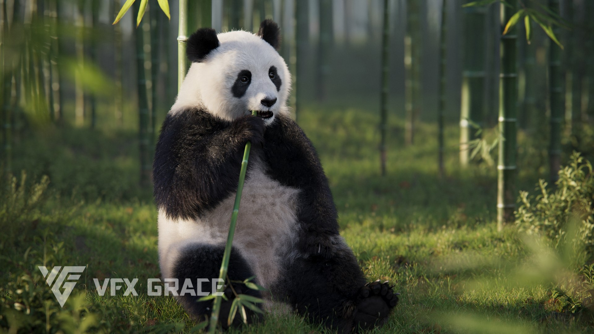3D model Panda Animation Vfx Grace - TurboSquid 2152911