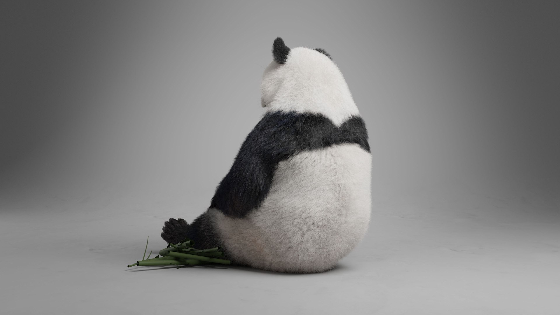 3D Model Panda Animation Vfx Grace - TurboSquid 2152911