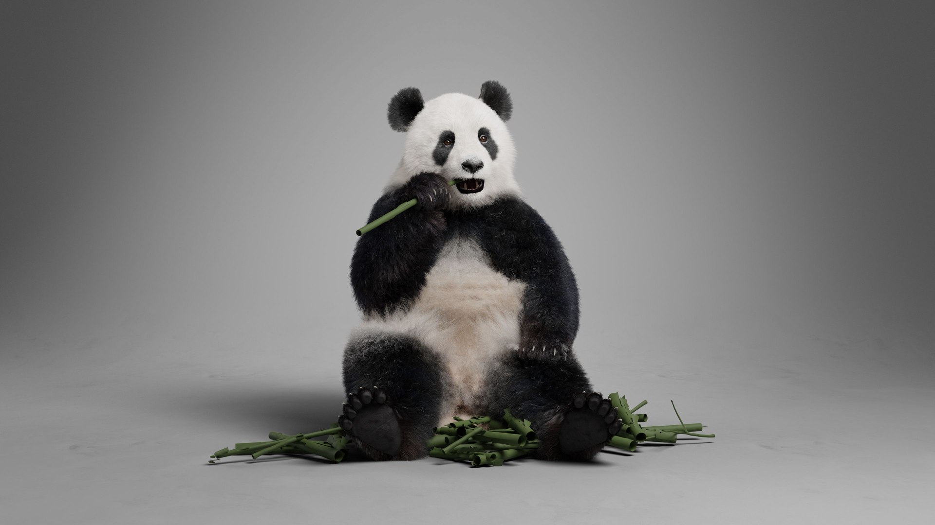 3D Model Panda Animation Vfx Grace - TurboSquid 2152911