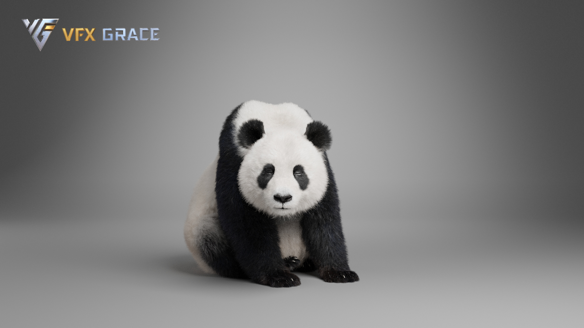 3D model Panda Animation Vfx Grace - TurboSquid 2152911