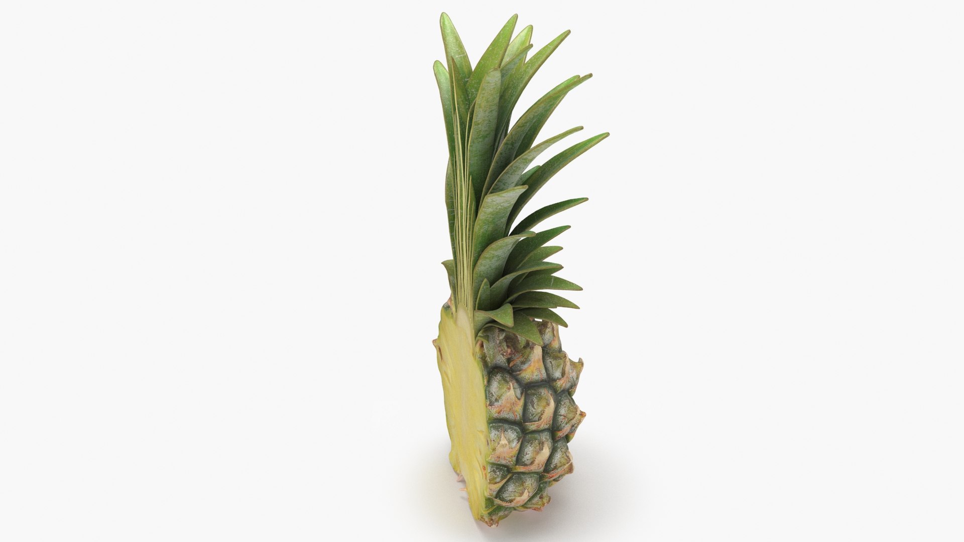 Half Pineapple 3D - TurboSquid 2087116